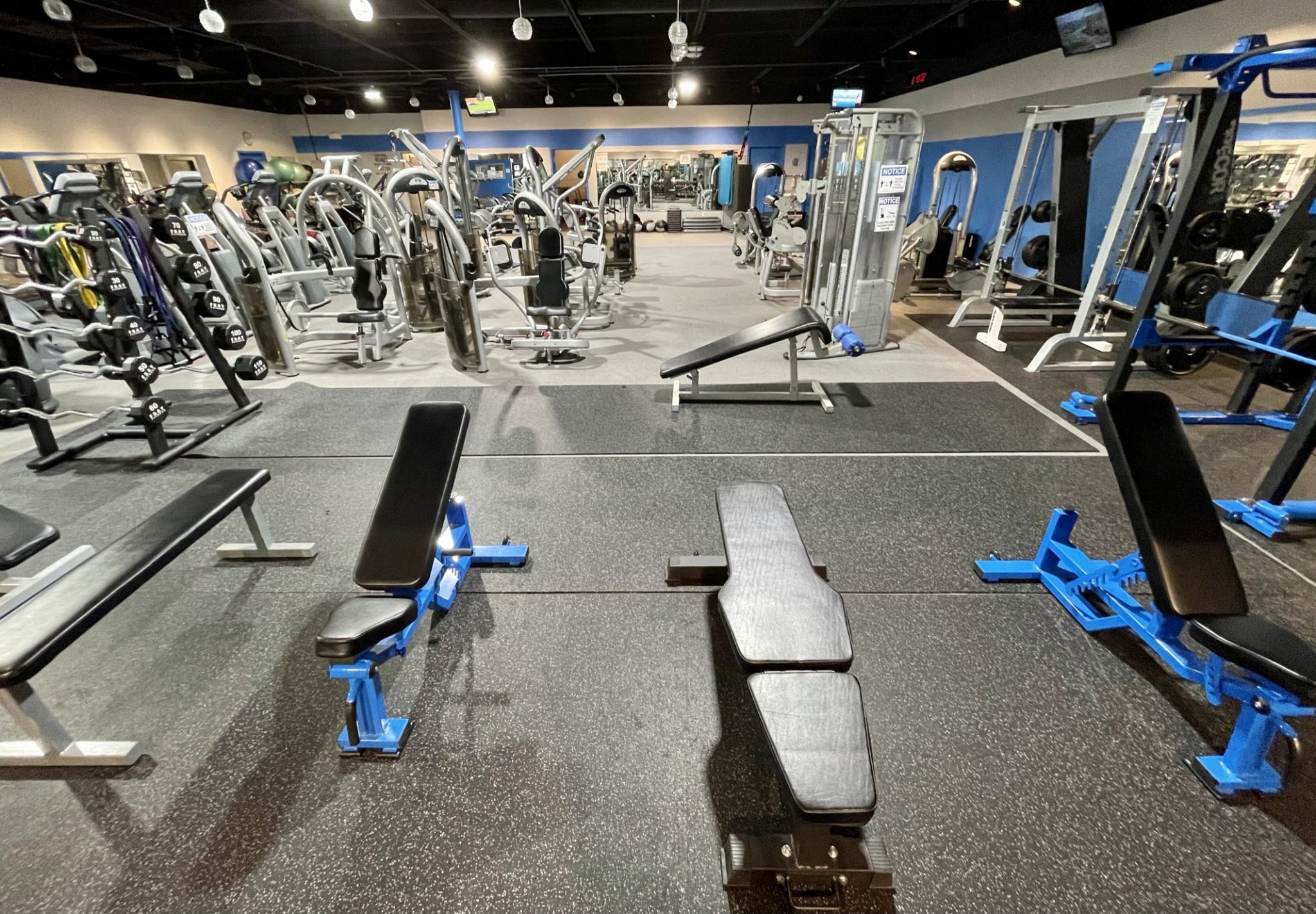 Ally Fitness | About Us